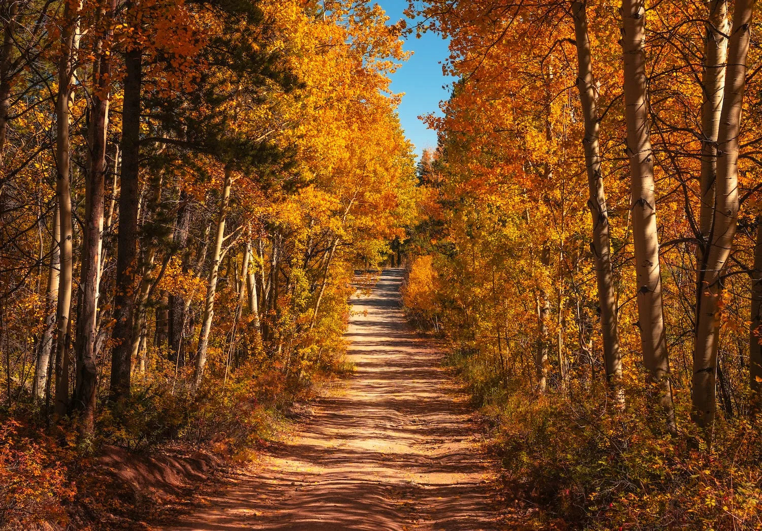 Fall Nature Activities for Kids: Fun Outdoor Ideas – Deux par Deux
